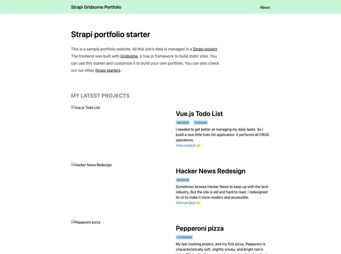 Strapi Starter Gridsome Portfolio by Strapi - A Gridsome Template | Built At Lightspeed